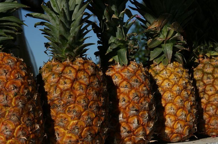 Sve što trebate znati o hranjivosti ananasa