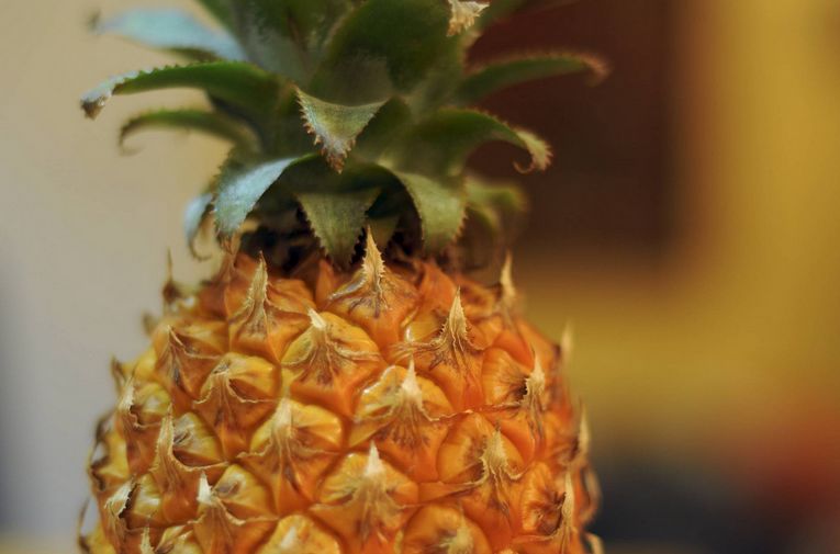 Sve što trebate znati o hranjivosti ananasa