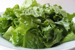 Zelena salata: Nevjerovatna riznica zdravlja