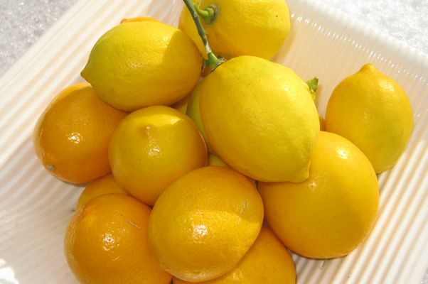 9 razloga da volite limun