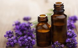 Zašto biste uvijek trebali imati lavandu u kući