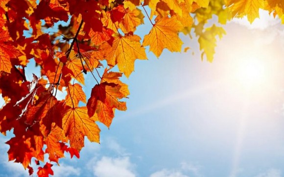 8 kvaliteta ljudi rođenih u septembru